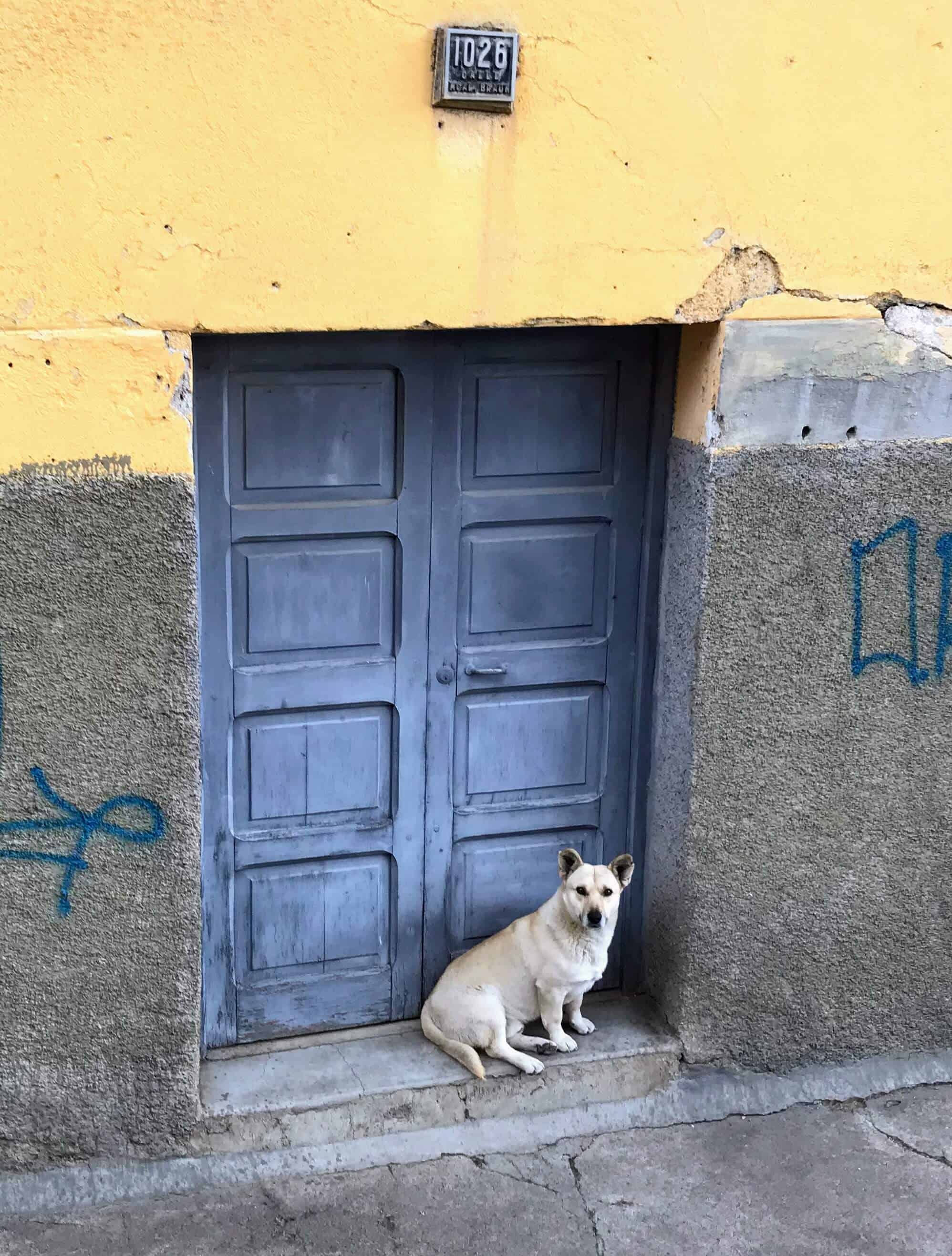 Find your Blue Door: Five Keys to Seizing Opportunity - 43BlueDoors