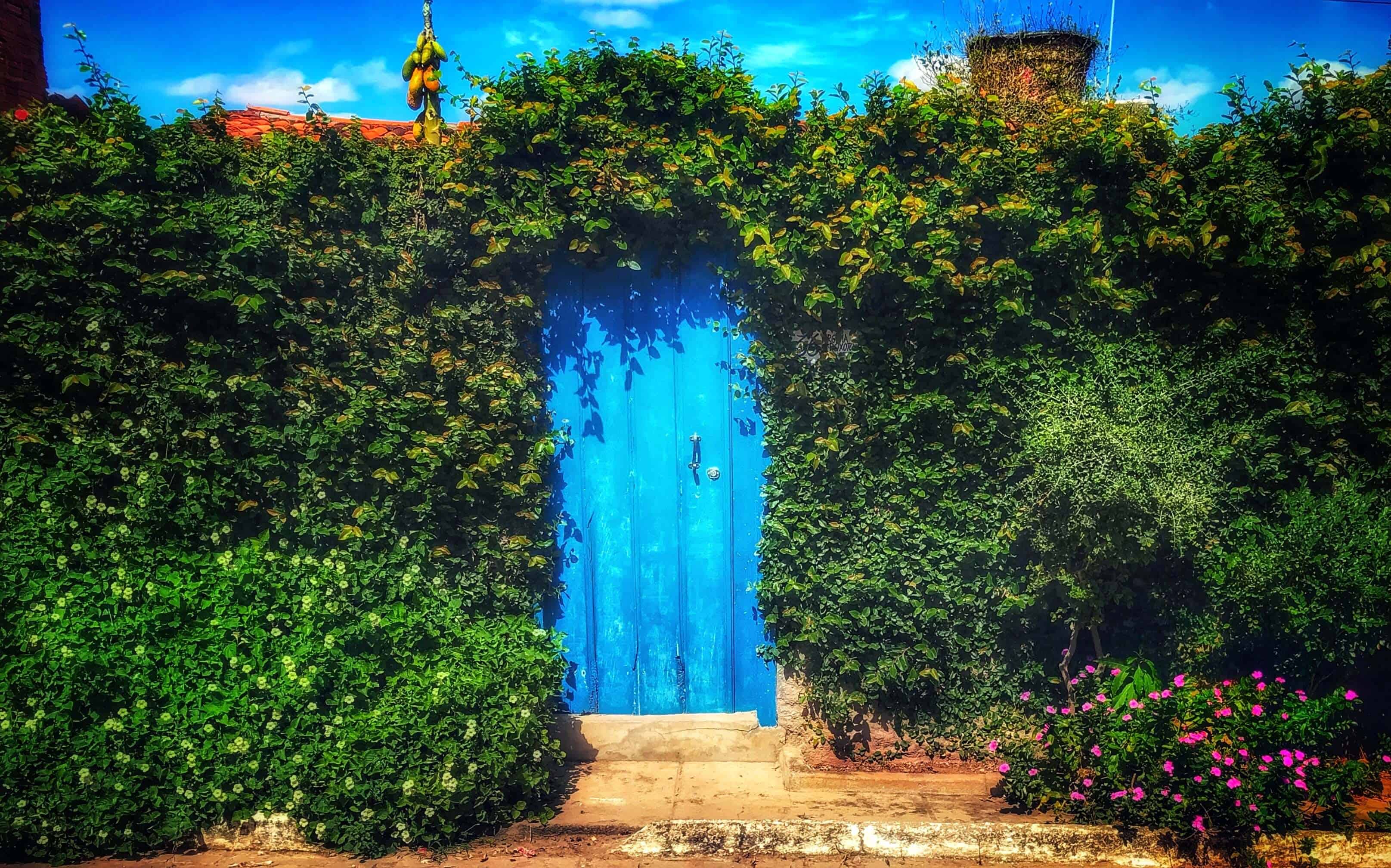 Find your Blue Door: Five Keys to Seizing Opportunity - 43BlueDoors