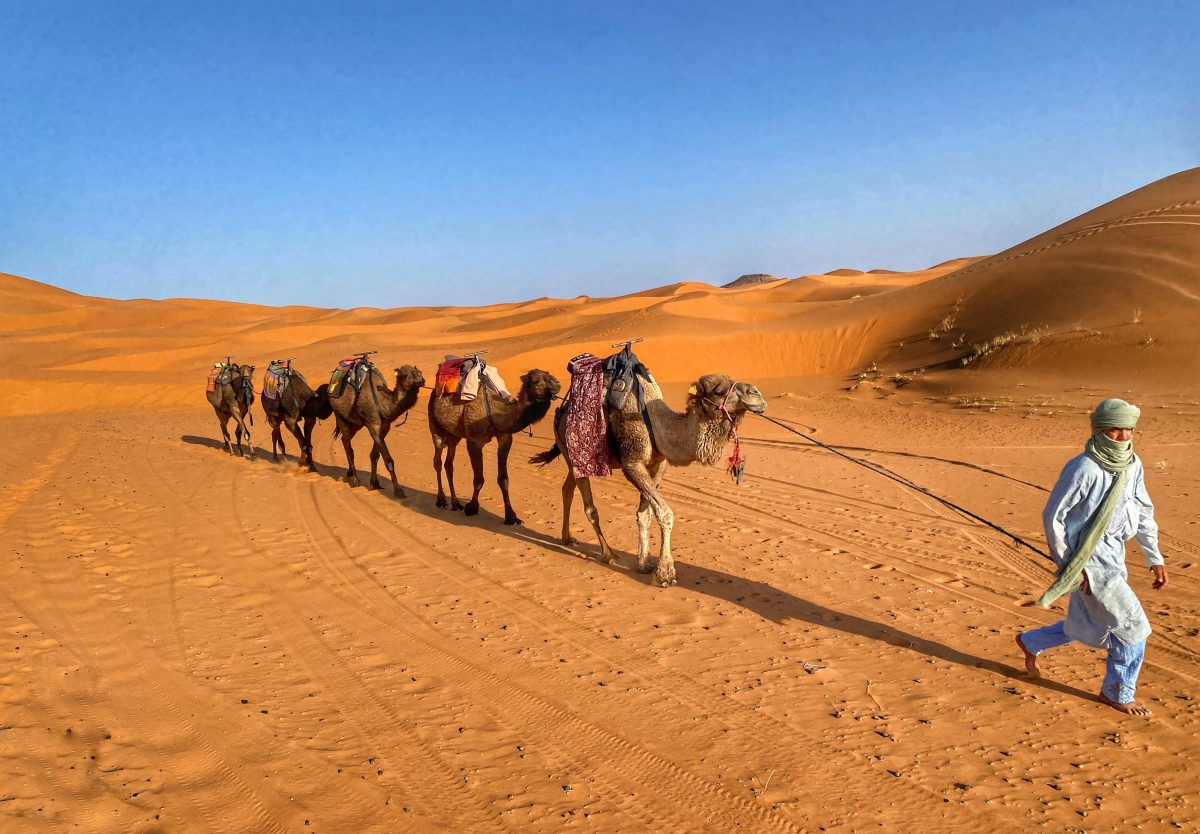 A Sahara Desert Sojourn - 43BlueDoors